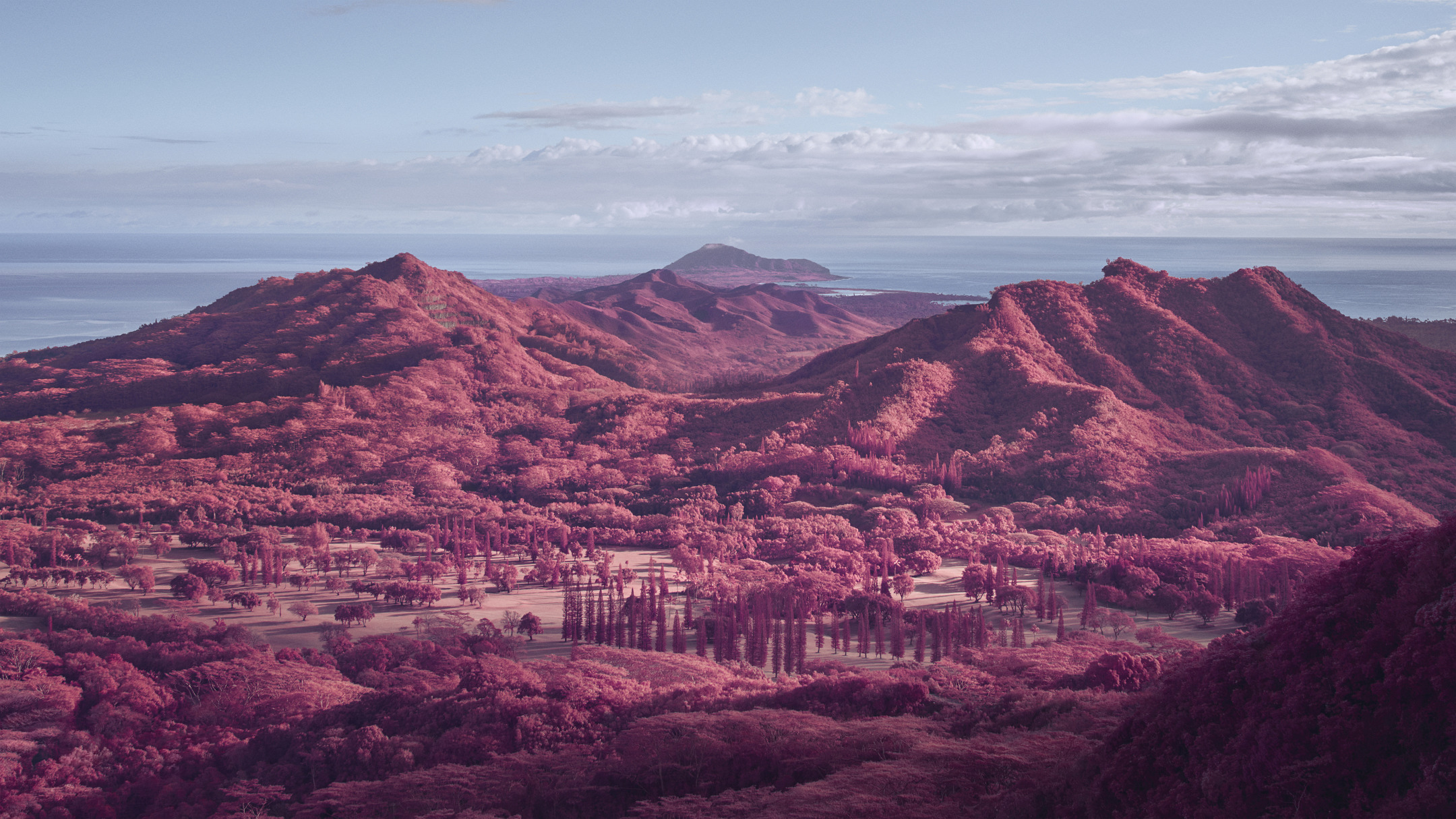 Featured - Christopher Greco