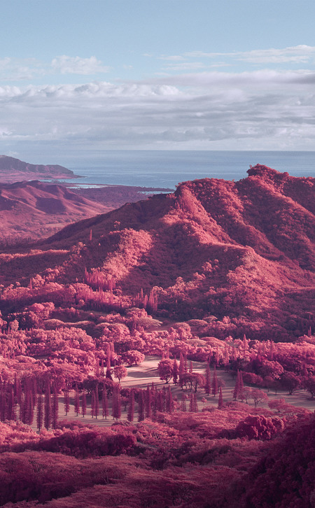 Featured - Christopher Greco